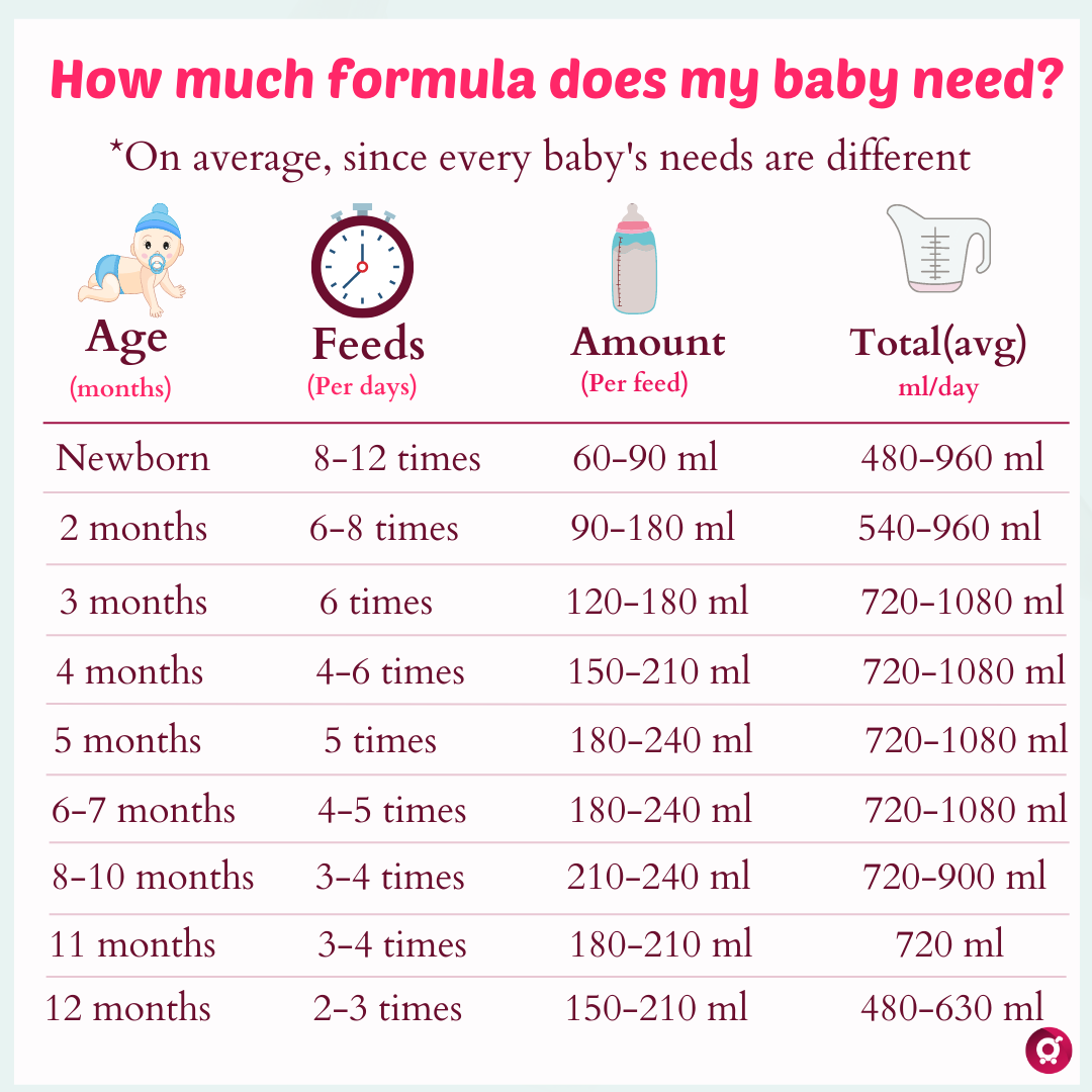 First Year Feeding Guide: How Much Should Your Baby Eat? - Momity