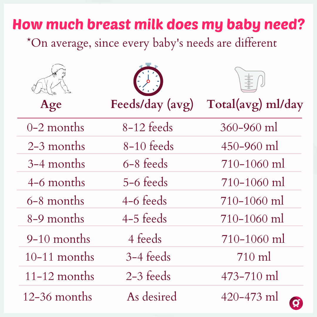 First Year Feeding Guide: How Much Should Your Baby Eat? - Momity